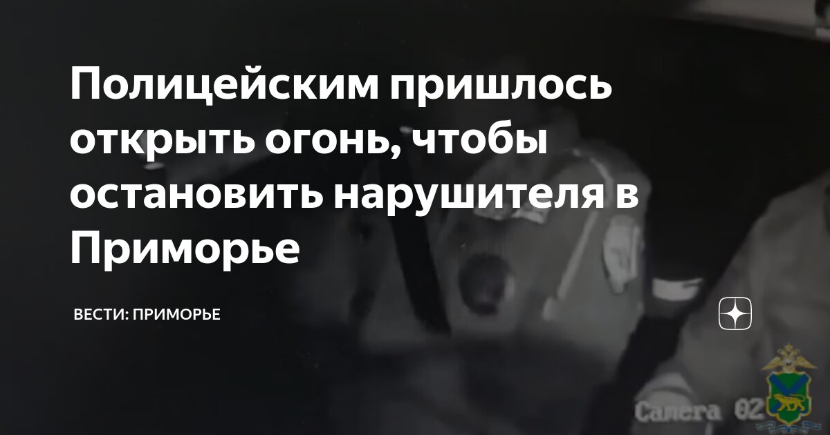 Полицейским пришлось открыть огонь, чтобы остановить нарушителя в ...