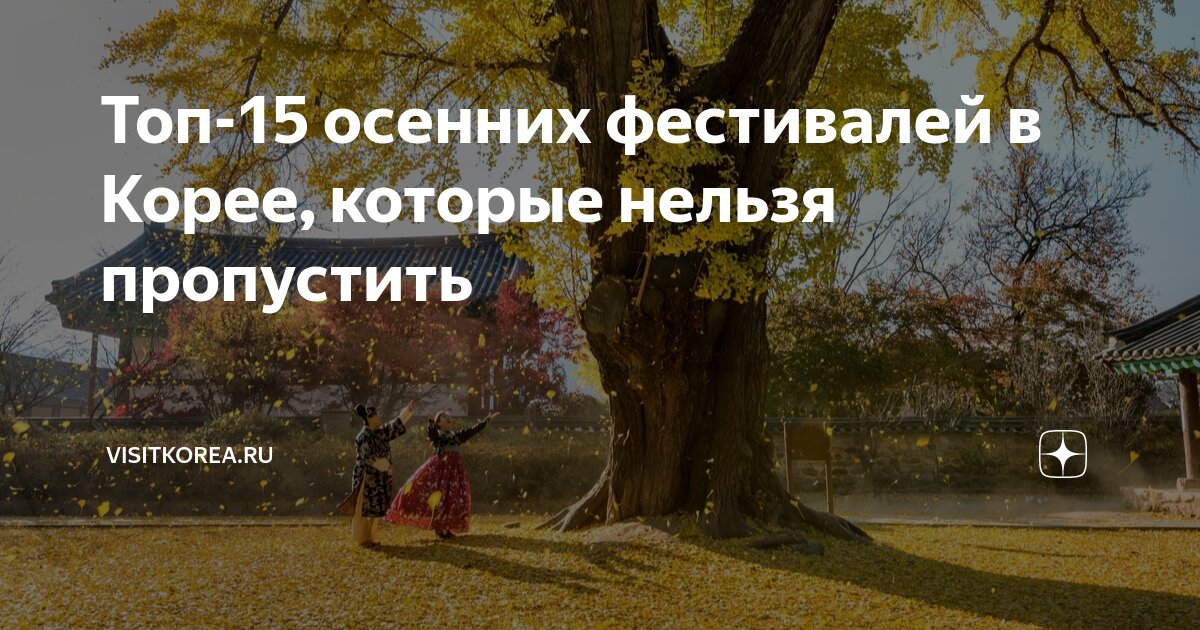 Топ-15 осенних фестивалей в Корее, которые нельзя пропустить | Visitkorea.ru | Дзен