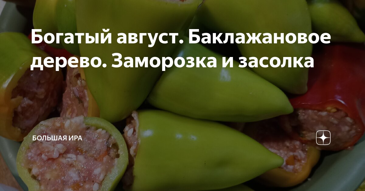 Богатый август. Баклажановое дерево. Заморозка и засолка | Большая Ира ...