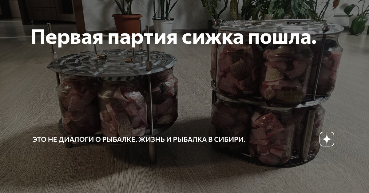 Первая партия сижка пошла. | Это не диалоги о рыбалке. Жизнь и рыбалка ...