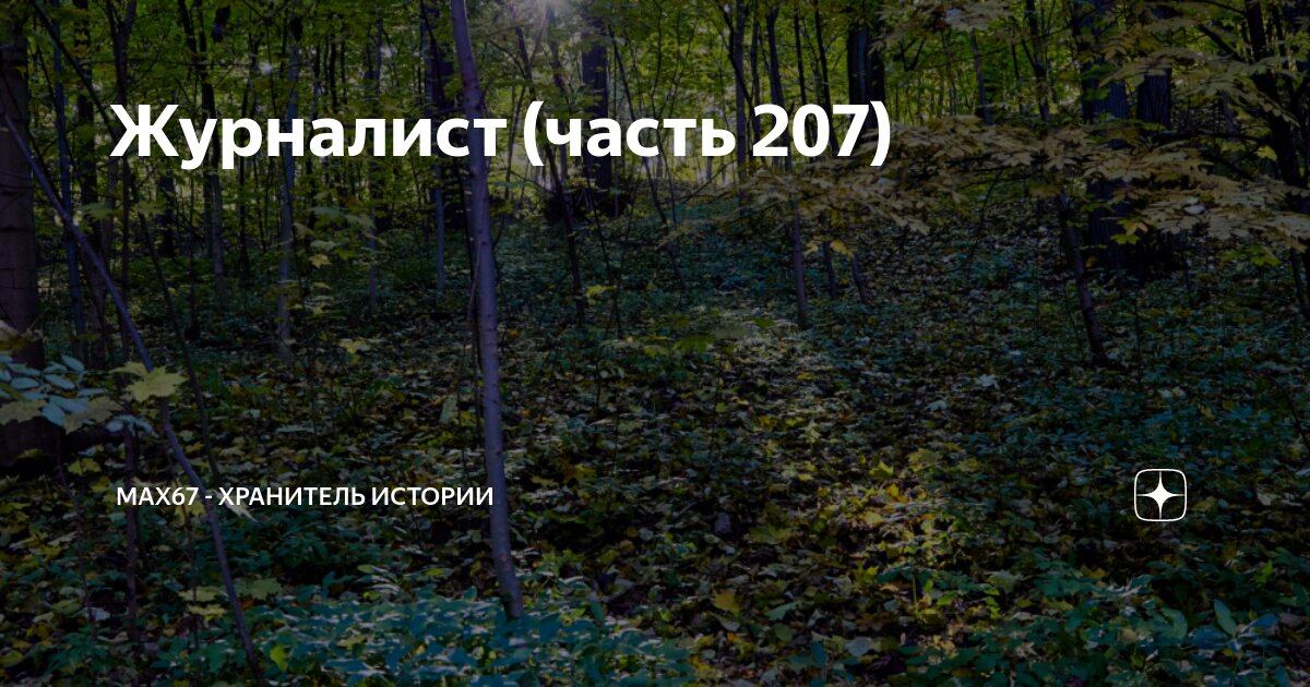 Журналист (часть 207) | MAX67 - Хранитель Истории | Дзен