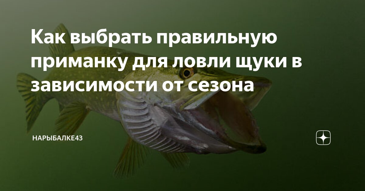 Как выбрать правильную приманку для ловли щуки в зависимости от сезона ...