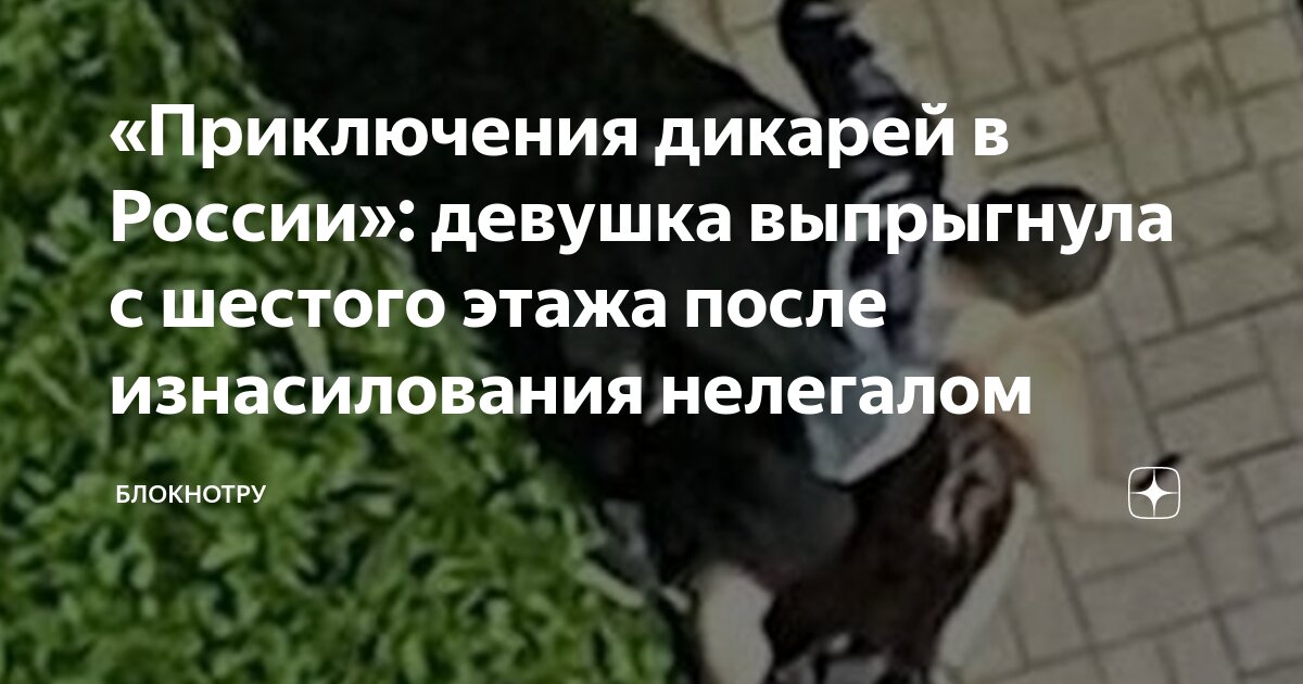 «Приключения дикарей в России девушка выпрыгнула с шестого этажа