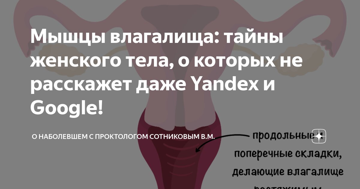 Мышцы влагалища: тайны женского тела, о которых не расскажет даже ...