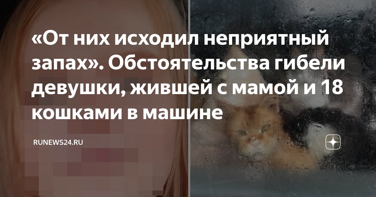 «От них исходил неприятный запах». Обстоятельства гибели девушки, жившей с мамой и 18 кошками в ...