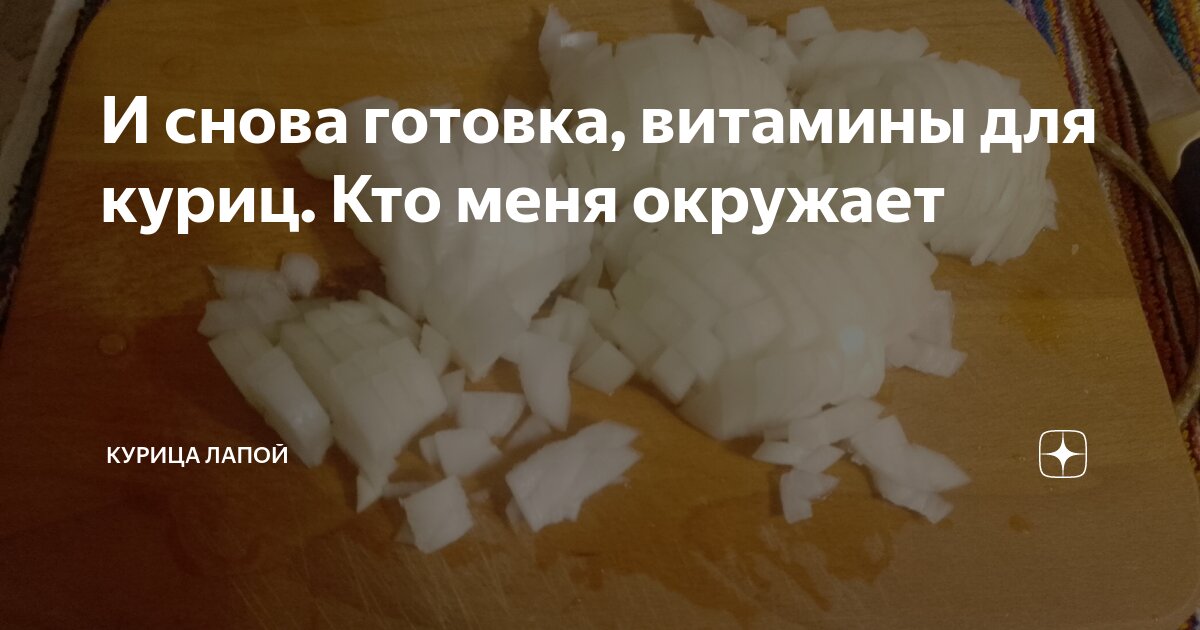 И снова готовка, витамины для куриц. Кто меня окружает | Курица Ляпой ...