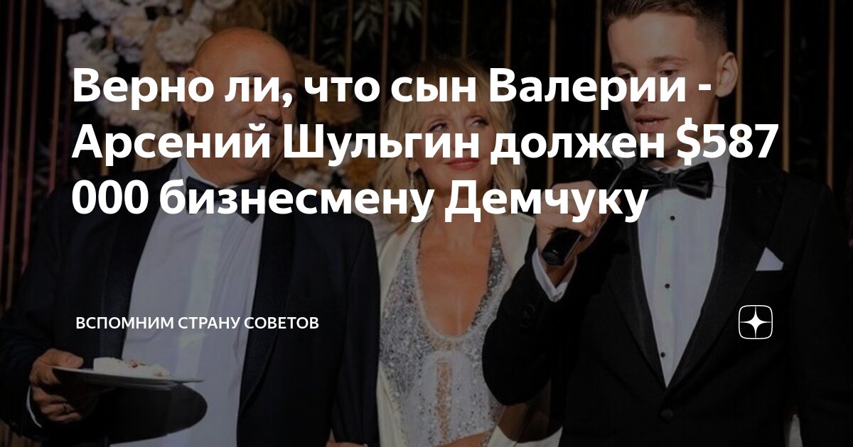 Верно ли что сын Валерии Арсений Шульгин должен 587 000 бизнесмену