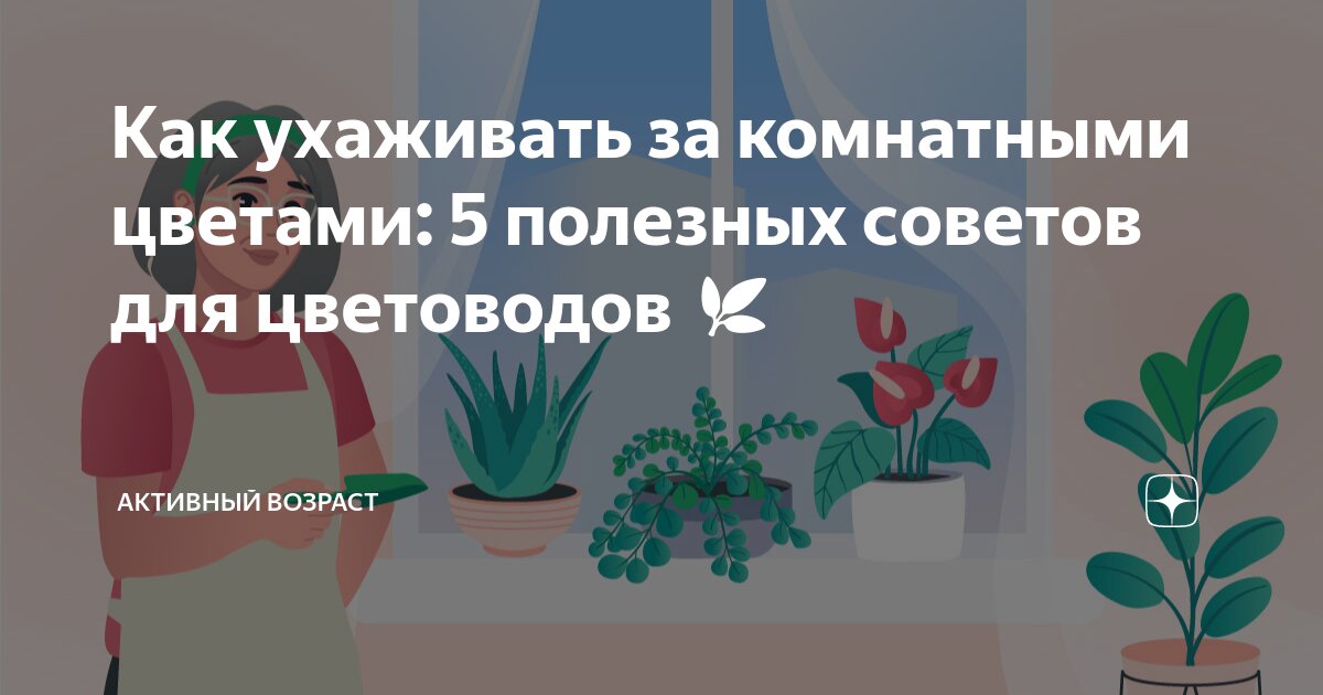 Как ухаживать за комнатными цветами 5 полезных советов для цветоводов