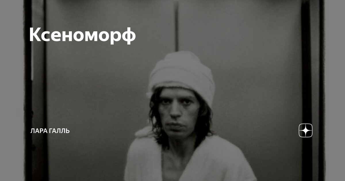 Ксеноморф | Лара Галль | Дзен
