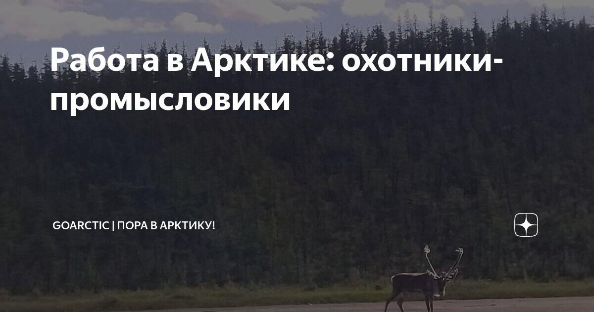 Работа в Арктике: охотники-промысловики | GoArctic | ПОРА в Арктику! | Дзен