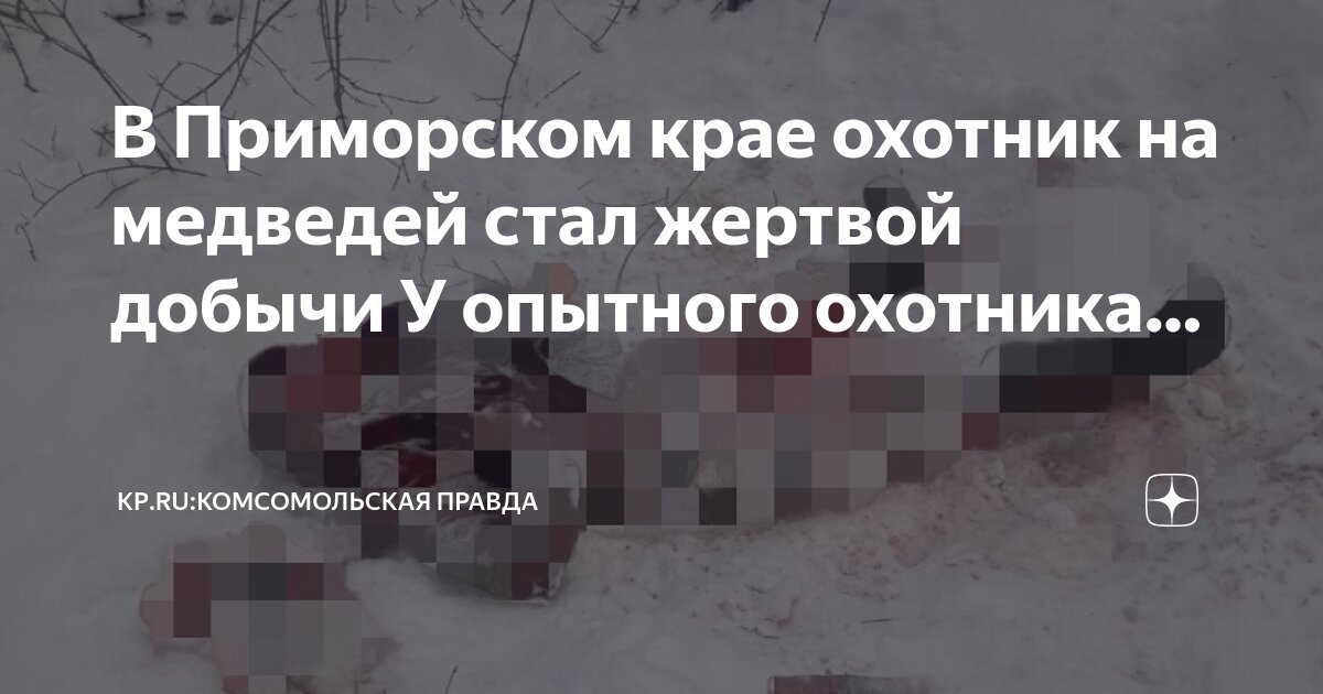 В Приморском крае охотник на медведей стал жертвой добычи У опытного ...