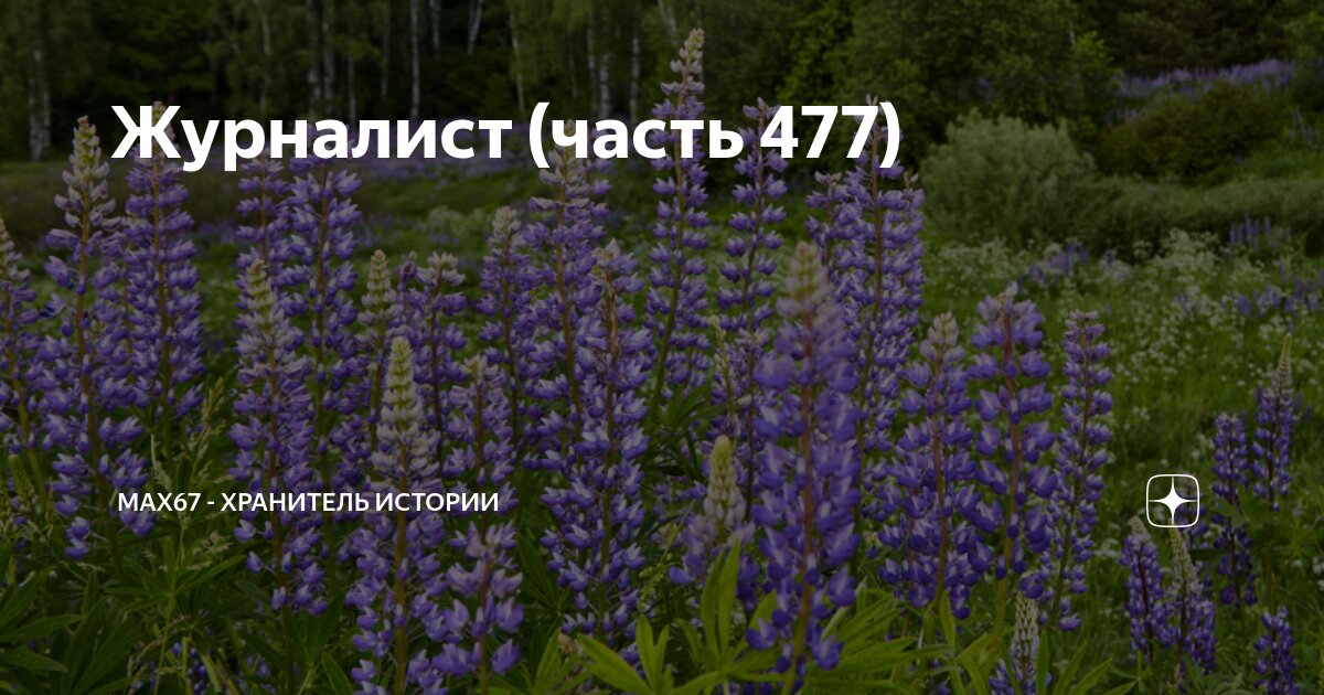 Журналист (часть 477) | MAX67 - Хранитель Истории | Дзен