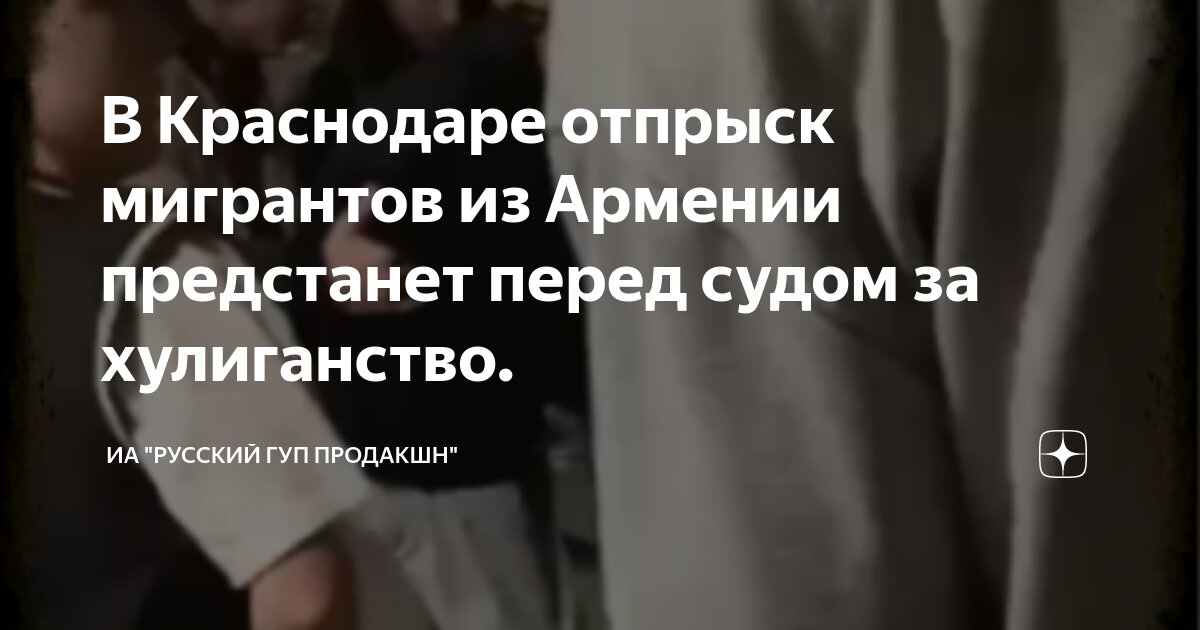 В Краснодаре отпрыск мигрантов из Армении предстанет перед судом за хулиганство ИА Русский