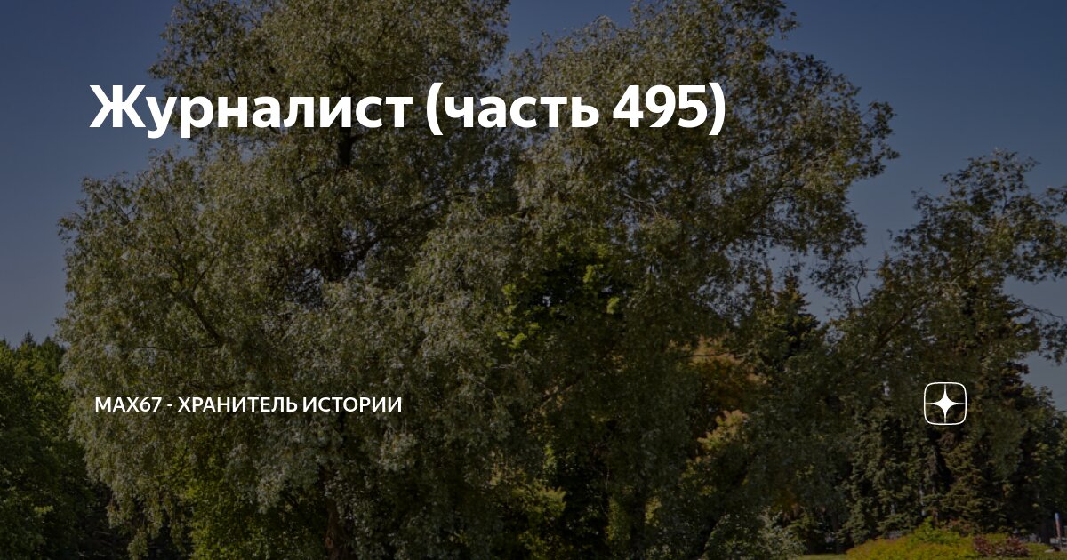 Журналист (часть 495) | MAX67 - Хранитель Истории | Дзен
