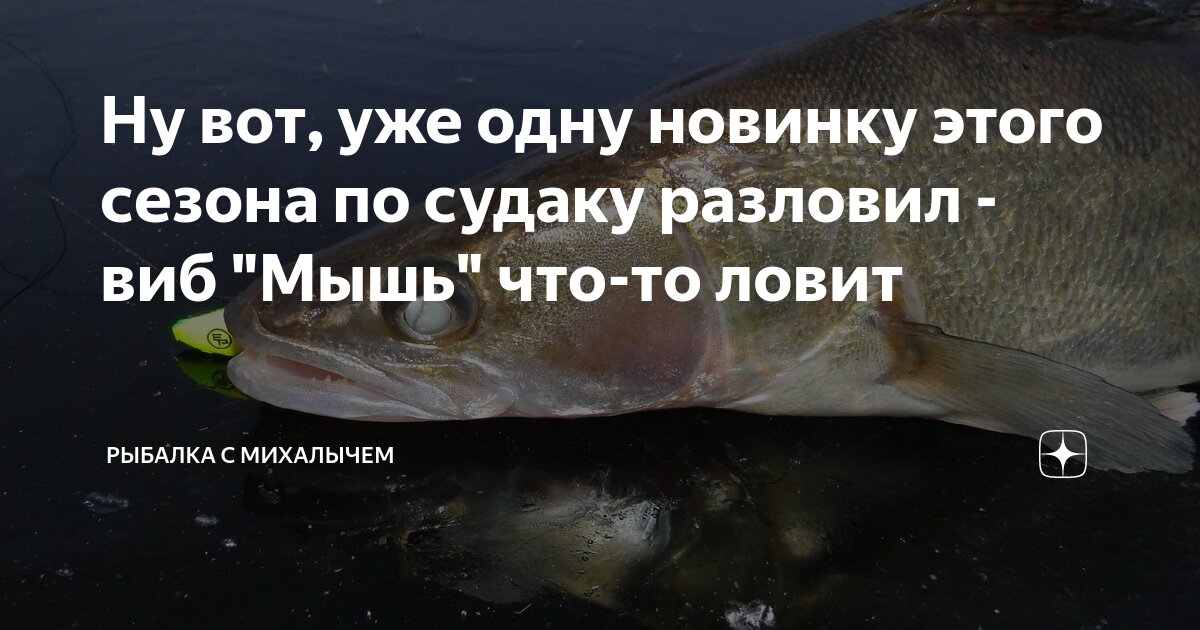 Ну вот, уже одну новинку этого сезона по судаку разловил - виб "Мышь ...