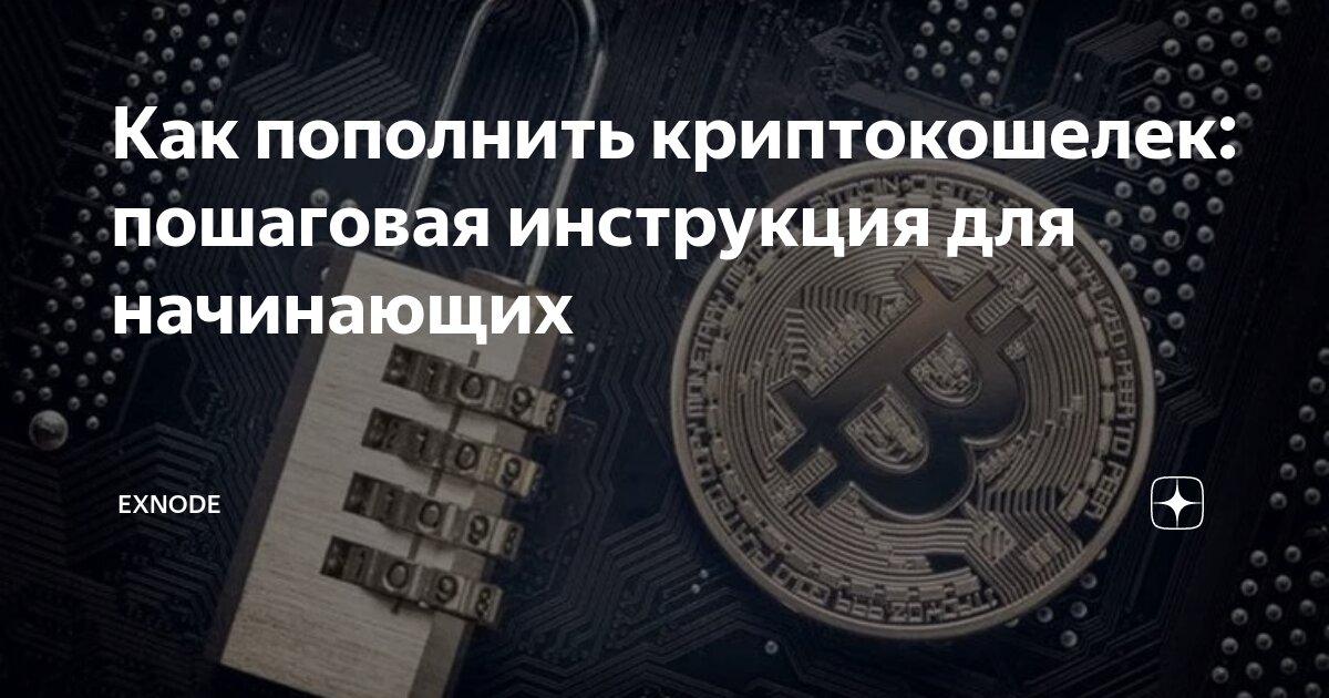 Как пополнить криптокошелек: пошаговая инструкция для начинающих | EXNODE | Дзен