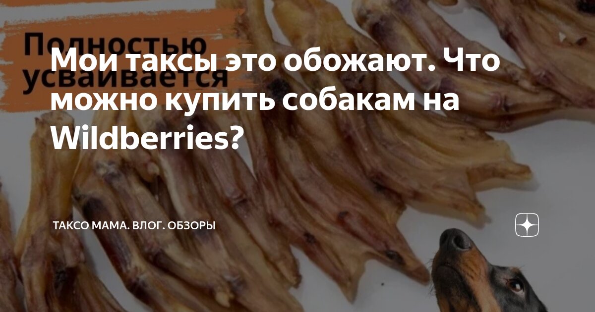 Мои таксы это обожают. Что можно купить собакам на Wildberries? | Таксо ...