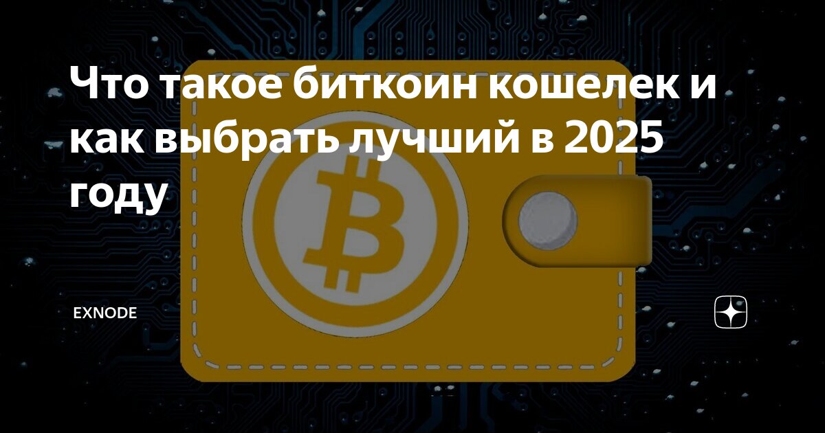 Что такое биткоин кошелек и как выбрать лучший в 2025 году | EXNODE | Дзен