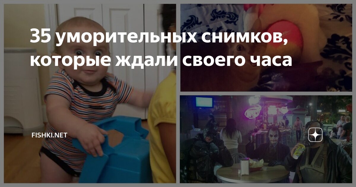 35 уморительных снимков, которые ждали своего часа | Fishki.Net | Дзен