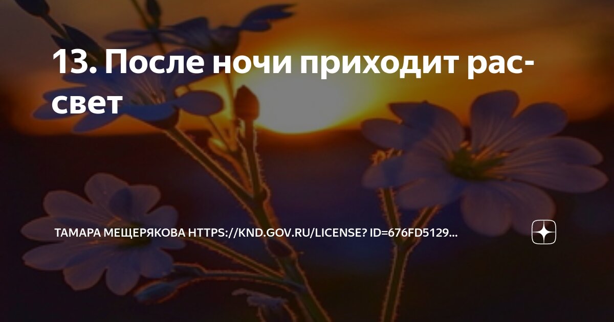13. После ночи приходит рассвет | Тамара Мещерякова https://knd.gov.ru/license? id ...