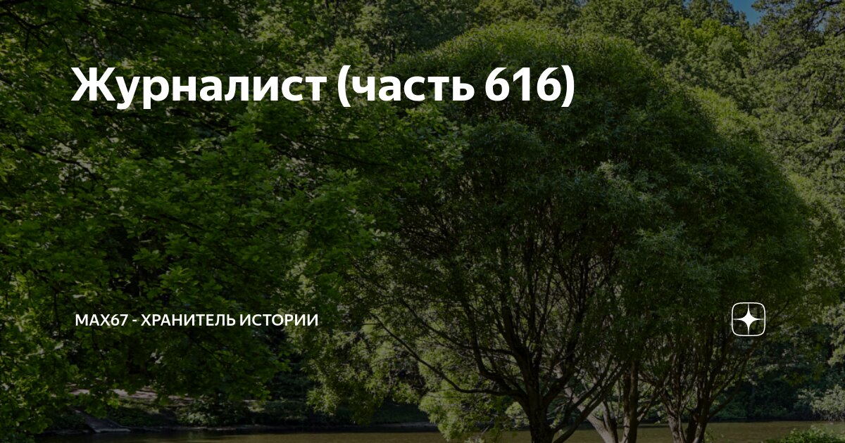 Журналист (часть 616) | MAX67 - Хранитель Истории | Дзен