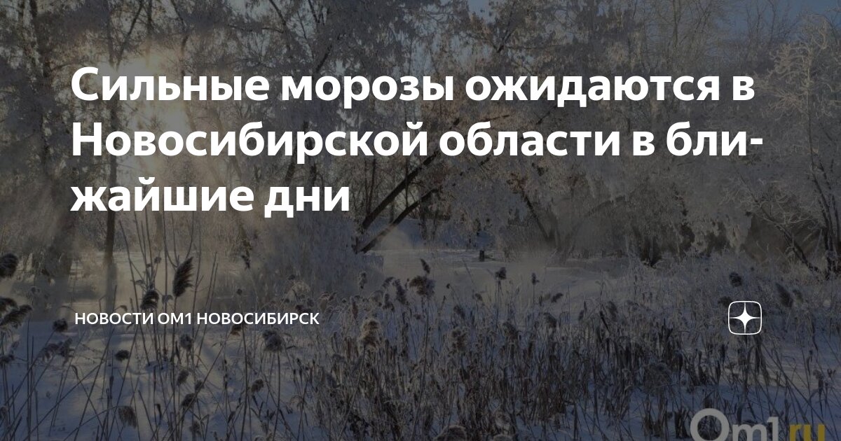 Сильные морозы ожидаются в Новосибирской области в ближайшие дни | Om1: Новости Новосибирска | Дзен