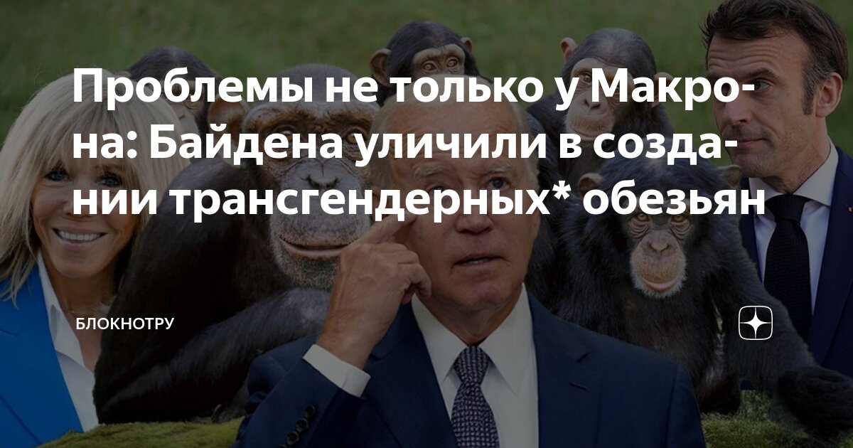 Проблемы не только у Макрона Байдена уличили в создании трансгендерных обезьян БлокнотРУ Дзен