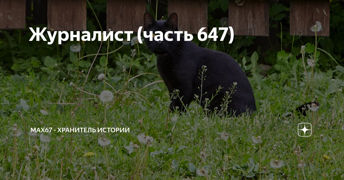 Журналист (часть 647) | MAX67 - Хранитель Истории | Дзен