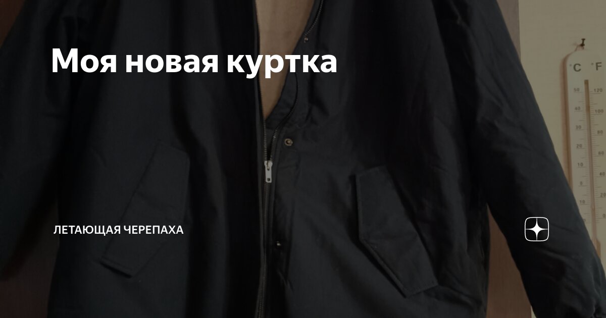 Моя новая куртка | Летающая Черепаха | Дзен