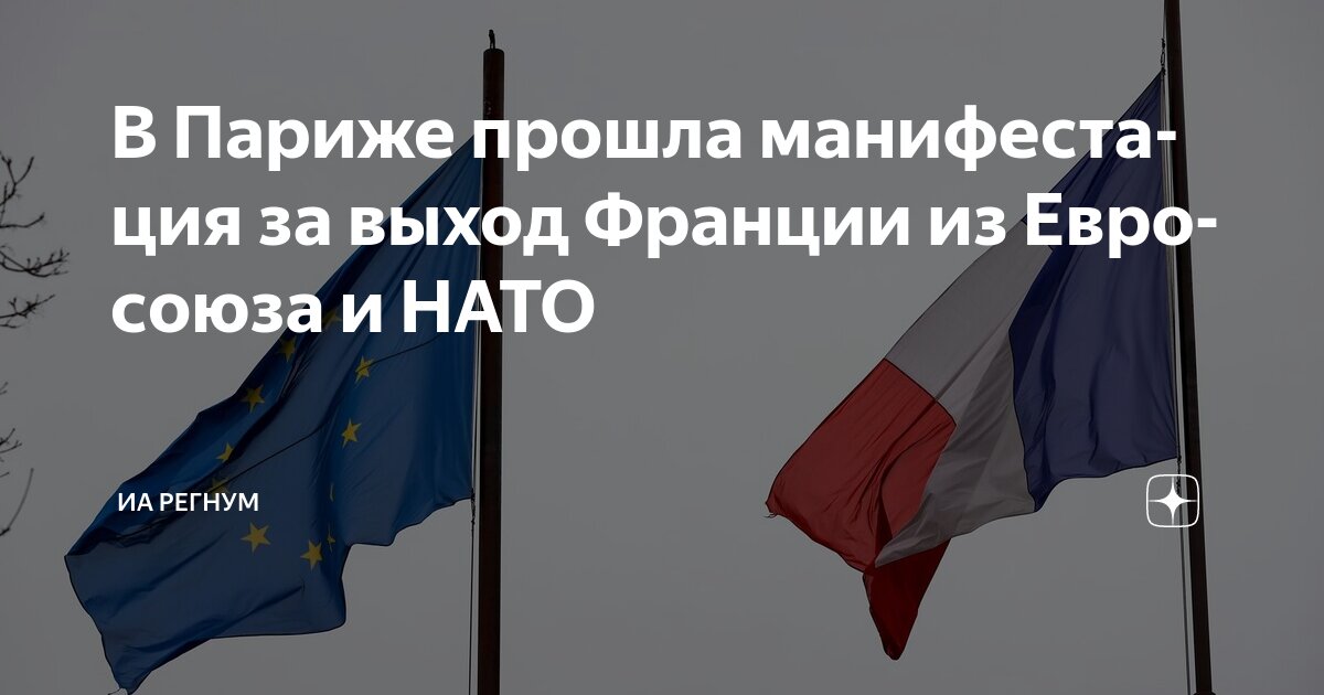 В Париже прошла манифестация за выход Франции из Евросоюза и НАТО ИА Регнум Дзен