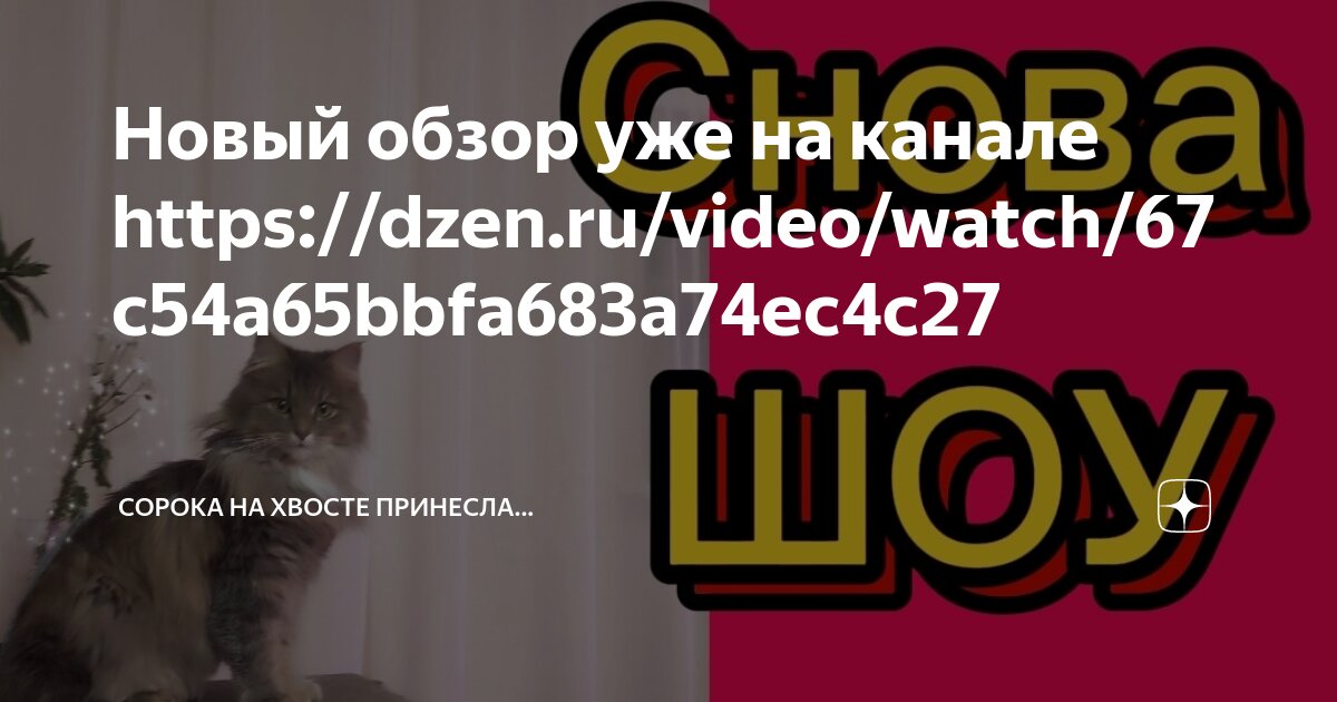 Новый обзор уже на канале https://dzen.ru/video/watch/67c54a65bbfa683a74ec4c27 | Сорока на ...