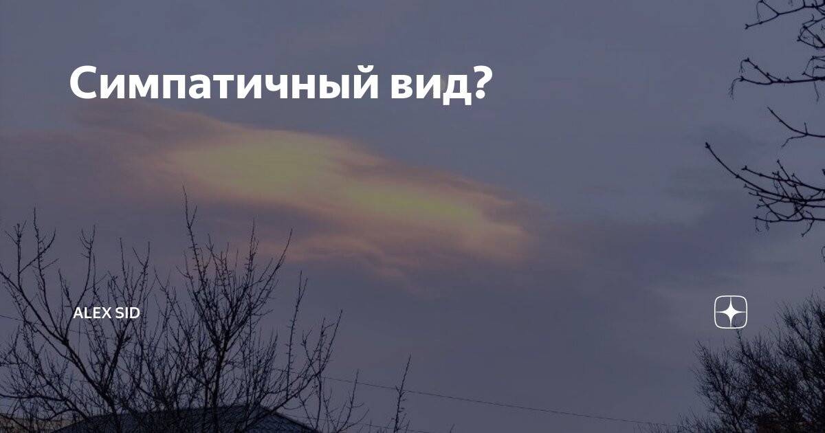 Симпатичный вид? | Alex Sid | Дзен