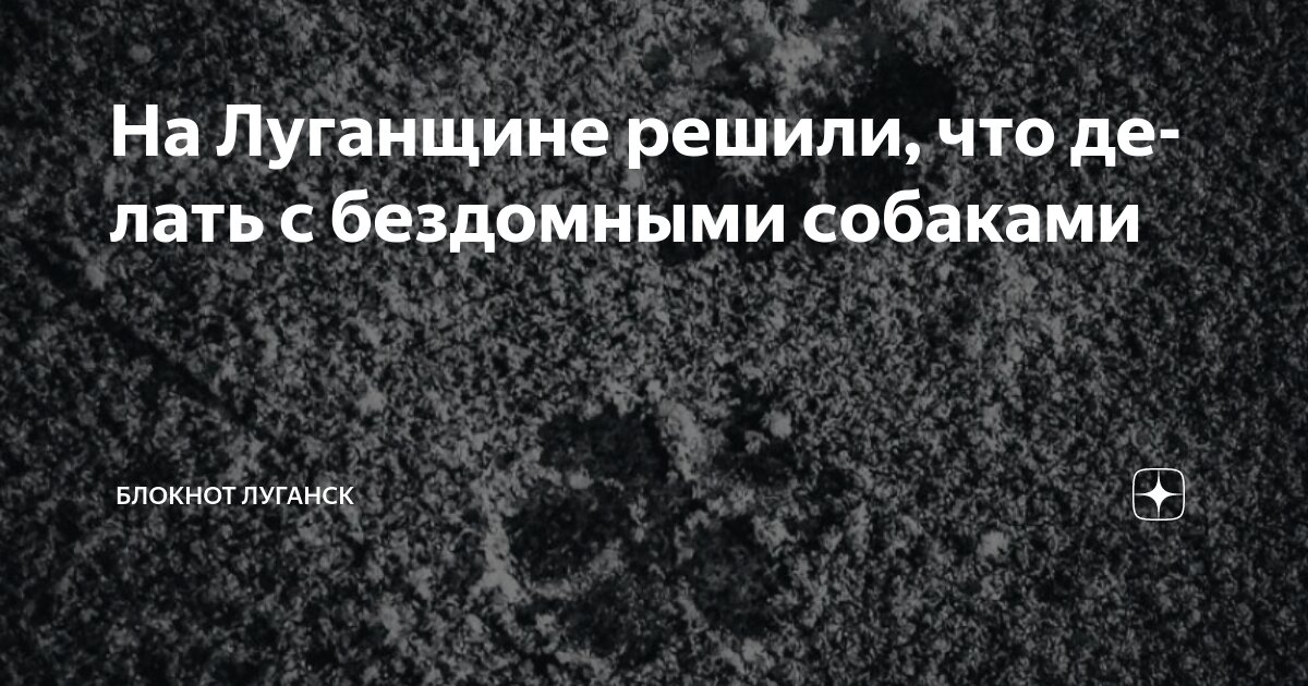 На Луганщине решили что делать с бездомными собаками Блокнот Луганск Дзен