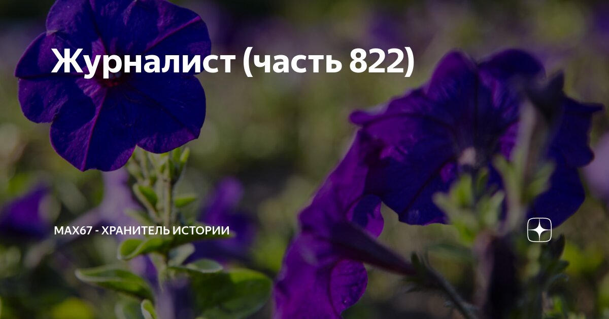 Журналист (часть 822) | MAX67 - Хранитель Истории | Дзен
