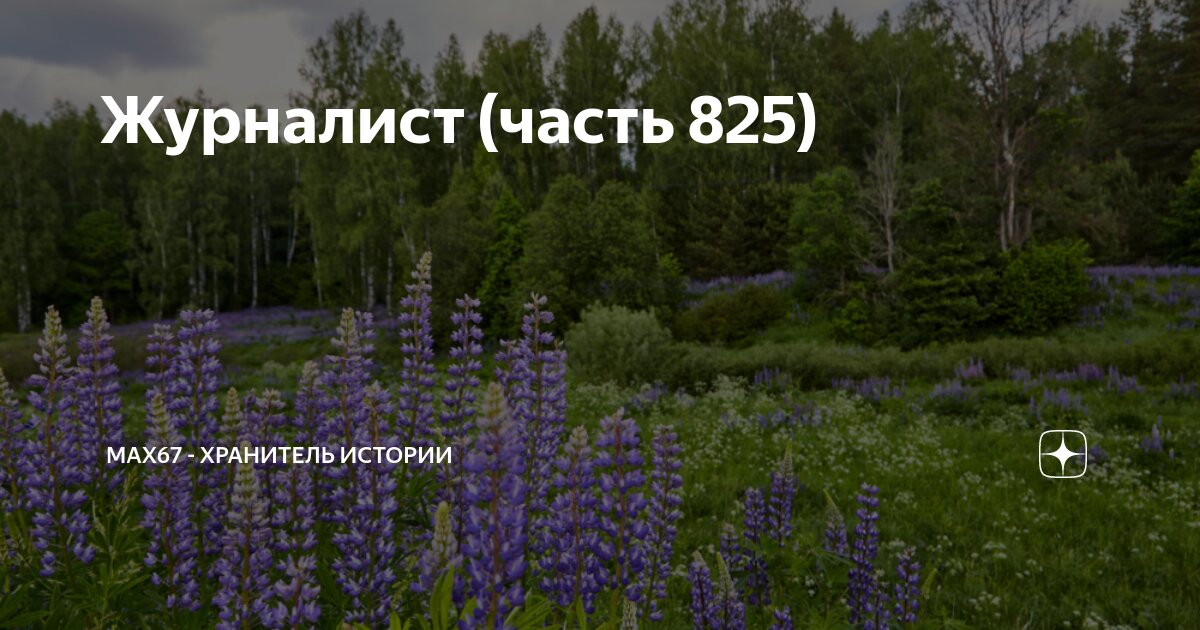 Журналист (часть 825) | MAX67 - Хранитель Истории | Дзен