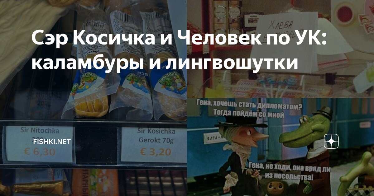 Сэр Косичка и Человек по УК: каламбуры и лингвошутки | Fishki.Net | Дзен
