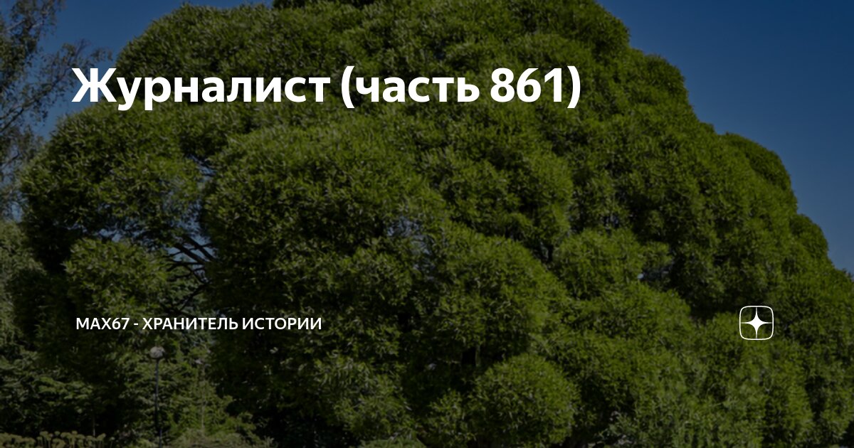 Журналист (часть 861) | MAX67 - Хранитель Истории | Дзен