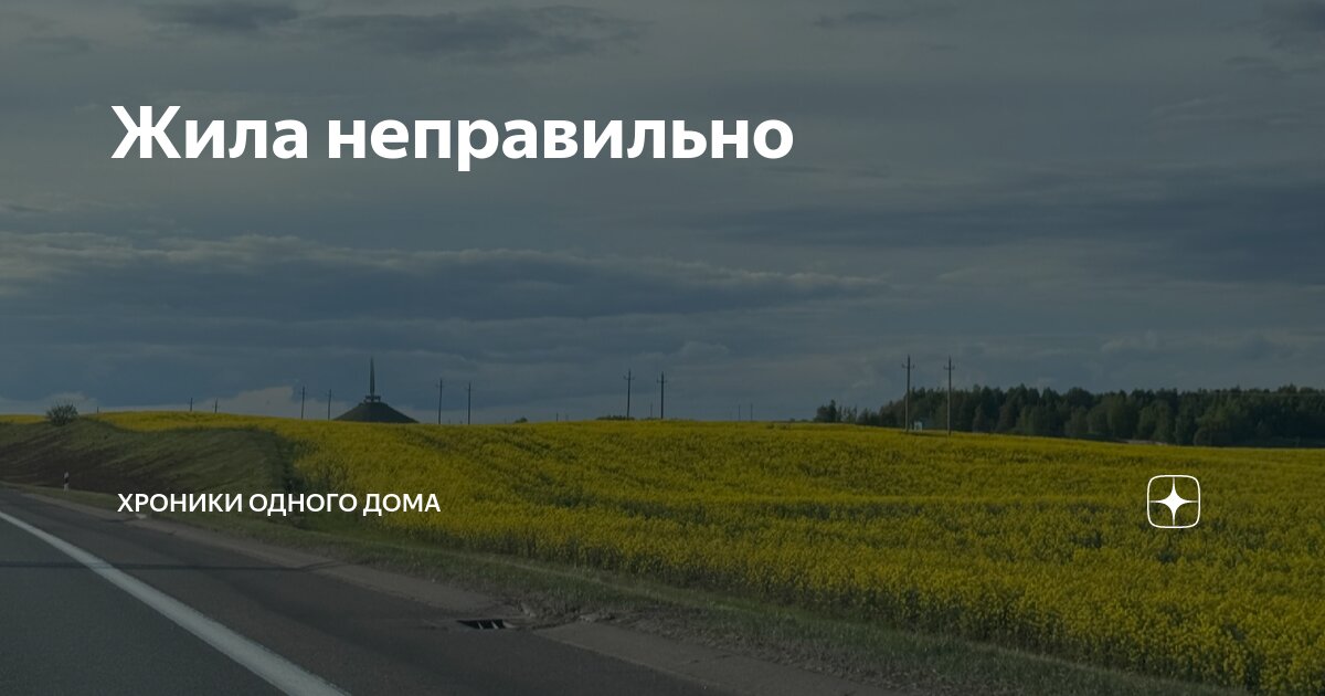 Жила неправильно | Хроники одного дома | Дзен
