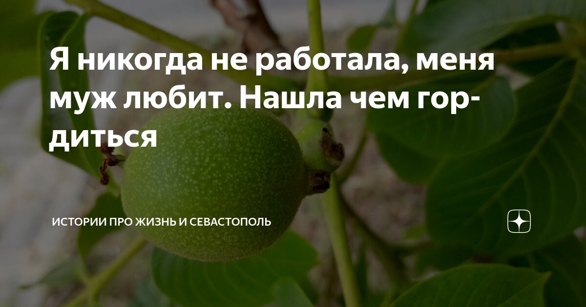 Я никогда не работала, меня муж любит. Нашла чем гордиться | Истории ...