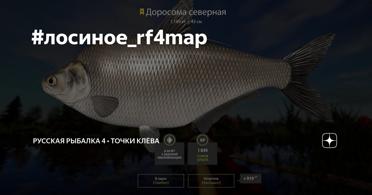 #лосиное_rf4map | Русская Рыбалка 4 • Точки клёва | Дзен
