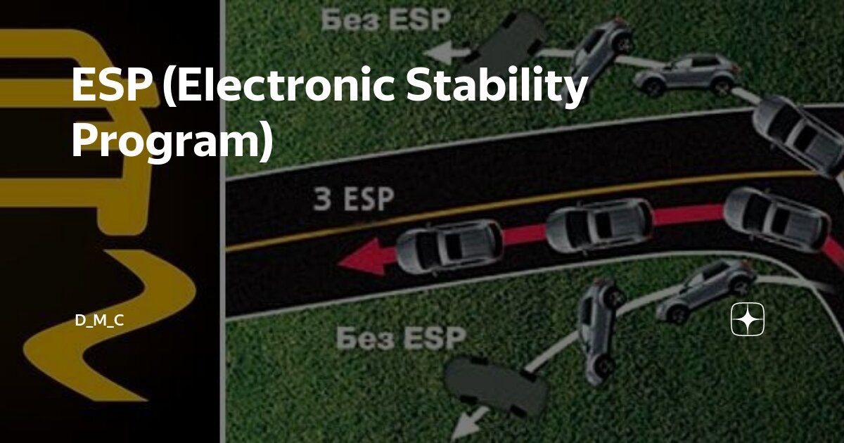 ESP (Electronic Stability Program) | D_M_C | Дзен