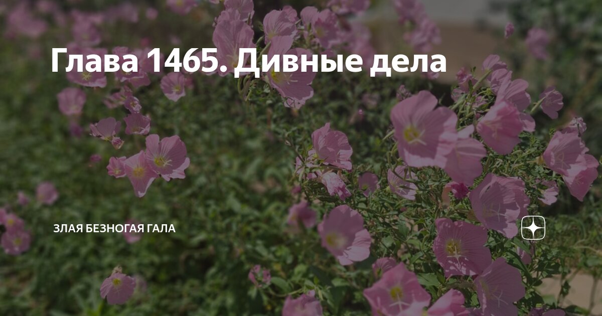 Глава 1465. Дивные дела | Злая безногая ГАЛА | Дзен