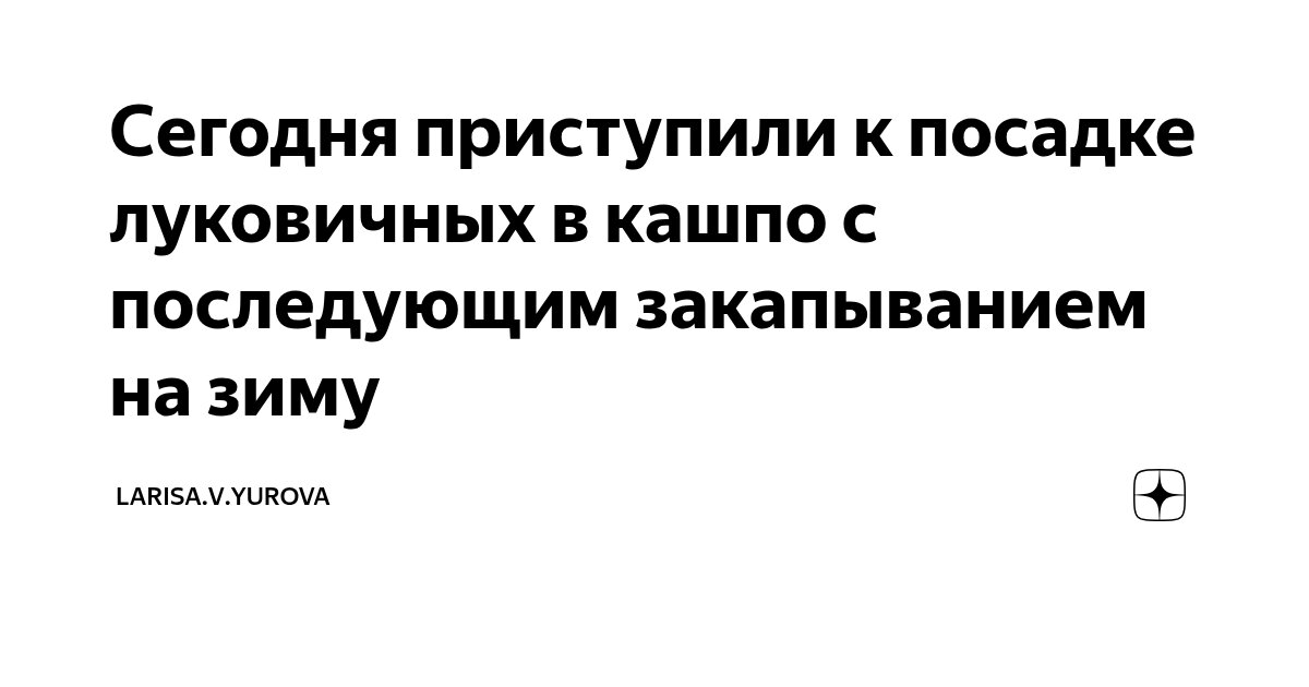 Сегодня приступили к посадке луковичных в кашпо с последующим закапыванием на зиму | Larisa.v ...