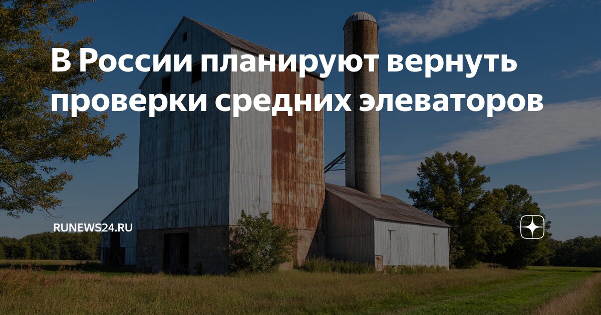 В России планируют вернуть проверки средних элеваторов | RuNews24.ru | Дзен