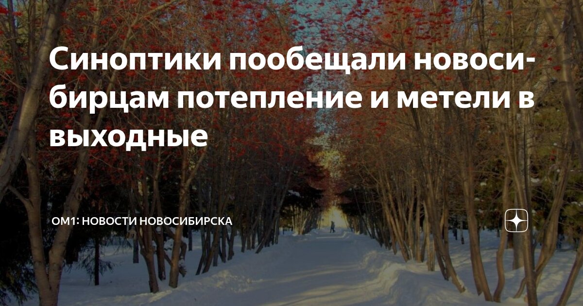 Синоптики пообещали новосибирцам потепление и метели в выходные | Om1: Новости Новосибирска | Дзен