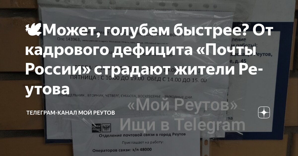 🕊Может, голубем быстрее? От кадрового дефицита «Почты России» страдают ...