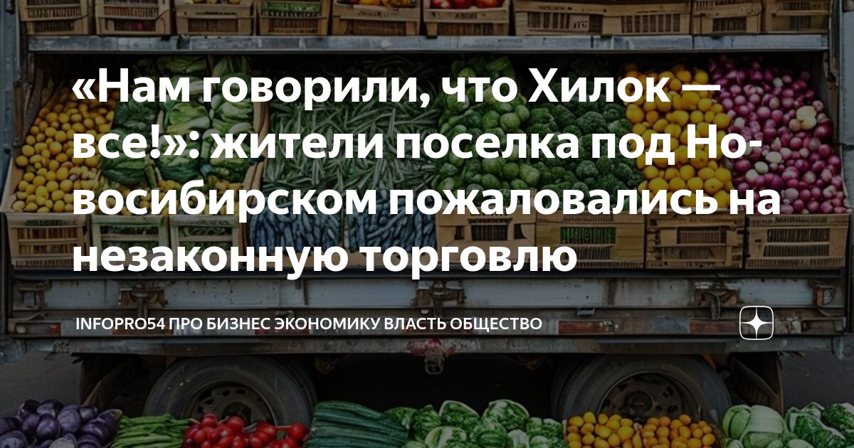 «Нам говорили, что Хилок — все!»: жители поселка под Новосибирском пожаловались на незаконную ...