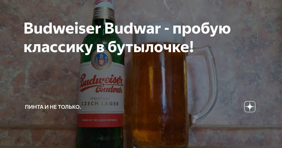 Budweiser Budwar - пробую классику в бутылочке! | Пинта и не только. | Дзен