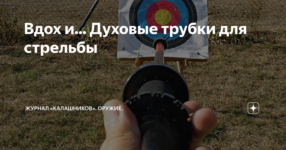 Вдох и... Духовые трубки для стрельбы | Журнал «Калашников». Оружие. | Дзен
