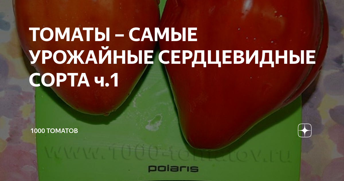 ТОМАТЫ – САМЫЕ УРОЖАЙНЫЕ СЕРДЦЕВИДНЫЕ СОРТА ч.1 | 1000 томатов | Дзен